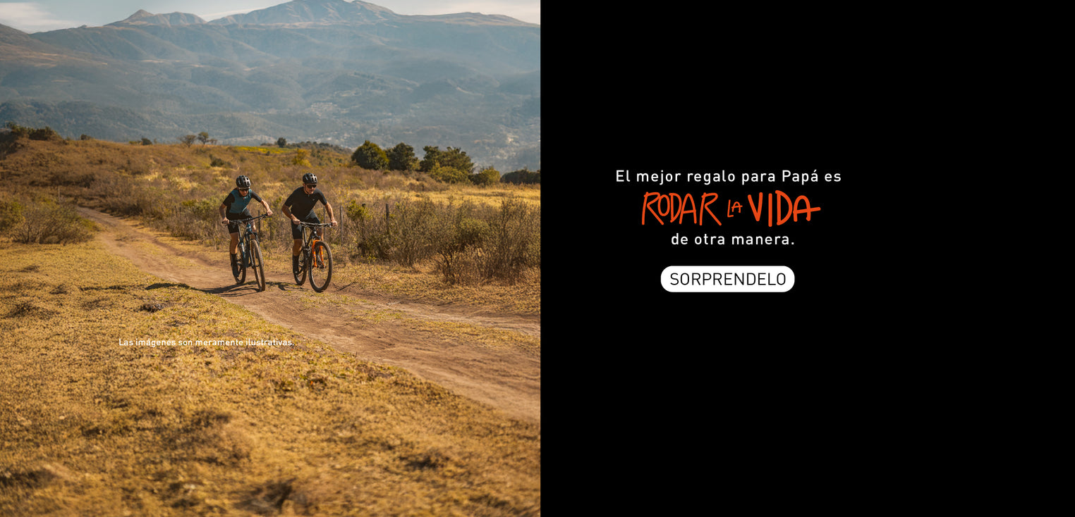 VOLTA Bikes – Tecnología para rodar la Vida – voltabikeshop